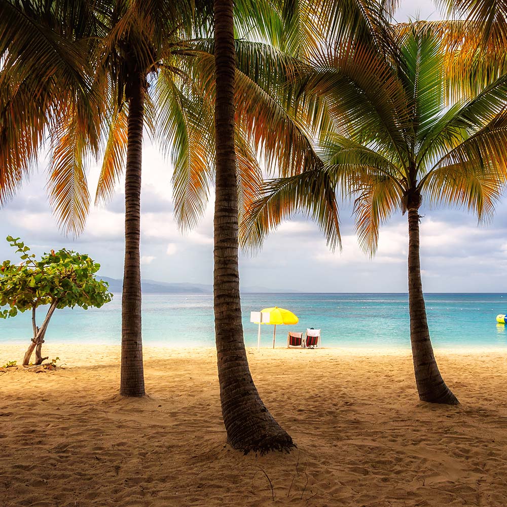 Jamajka z Rainbow | Blog